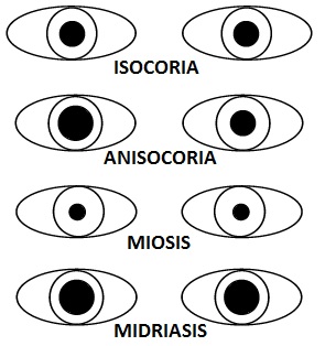 24 TES: Valoración Inicial y Secundaria