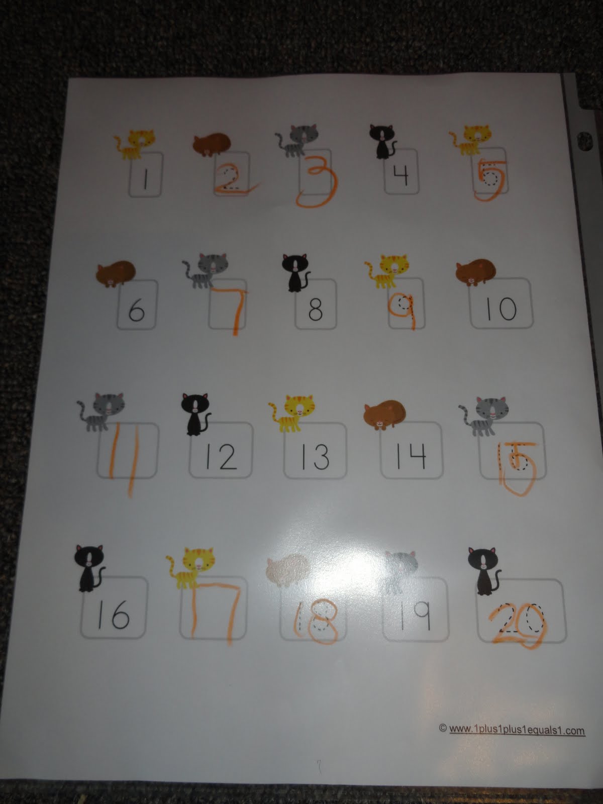 Izzie, Mac and Me: Have You Seen My Cat?