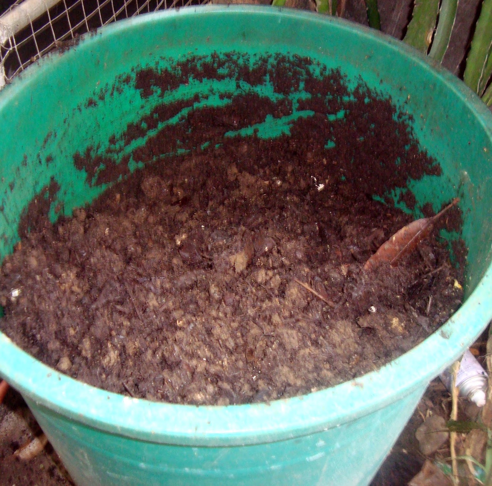 Living with Nature - School on Blog by Dr. Abercio V. Rotor: Cry of the ...