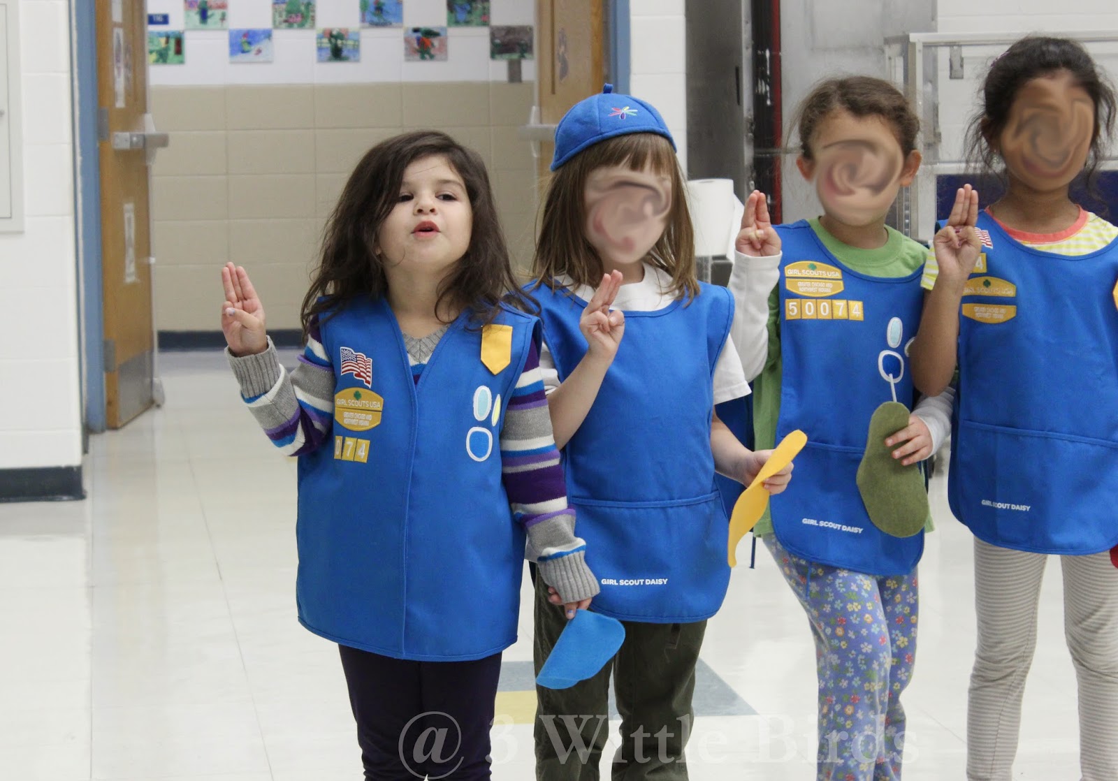 3 Wittle Birds: Investitures Ceremony - Girl Scout Daisy