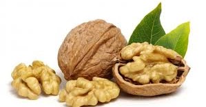 VOĆARSKI SAVJETI: Orah