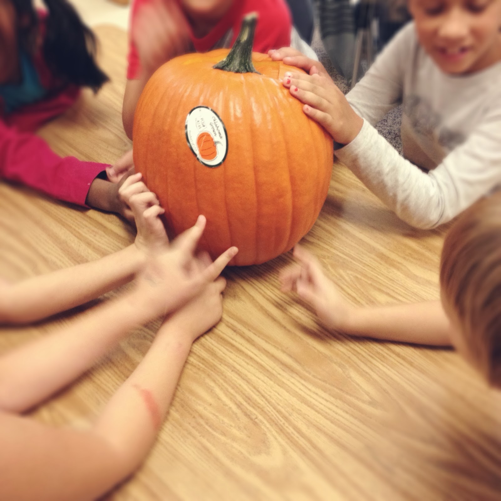 Simply Second Grade: Pumpkin Unit Photos {Part 1} Plus a pumpkin freebie!