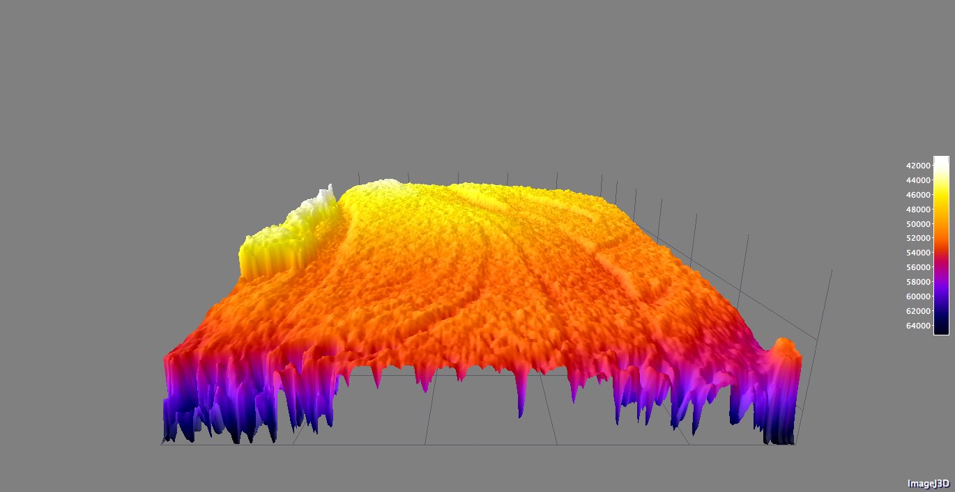 Research at a snail's pace: Hacking the Em2: Using the ImageJ to create ...