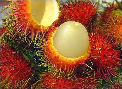 Berbagai Jenis Buah Rambutan | BillahYuliyani17