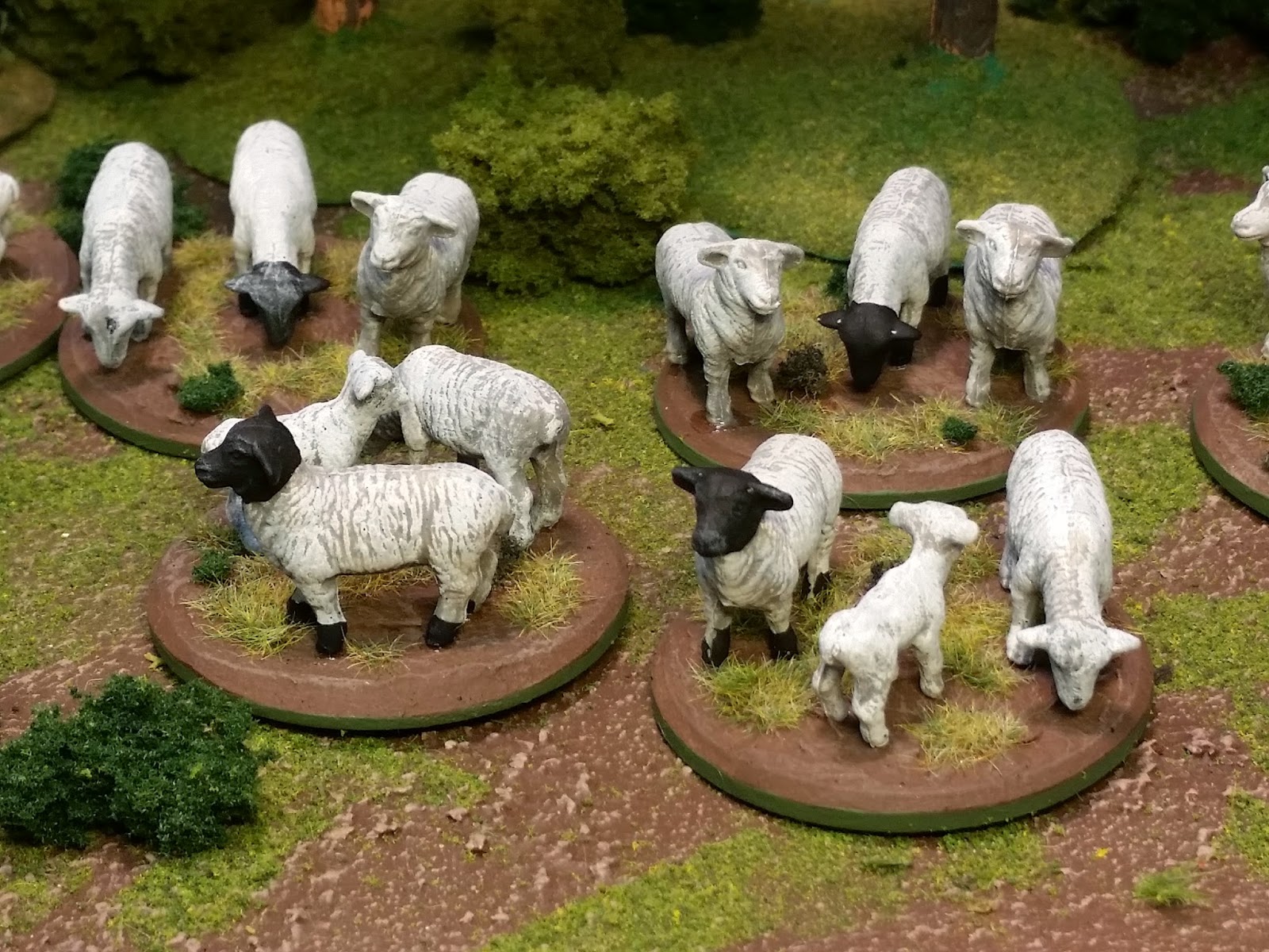 Xin's Lair: Painted Sheep