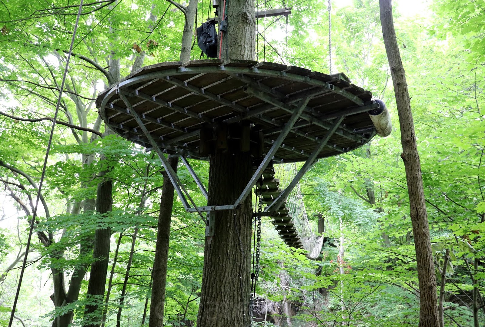 Create With Mom: Thrilling time with the family at Long Point Eco ...