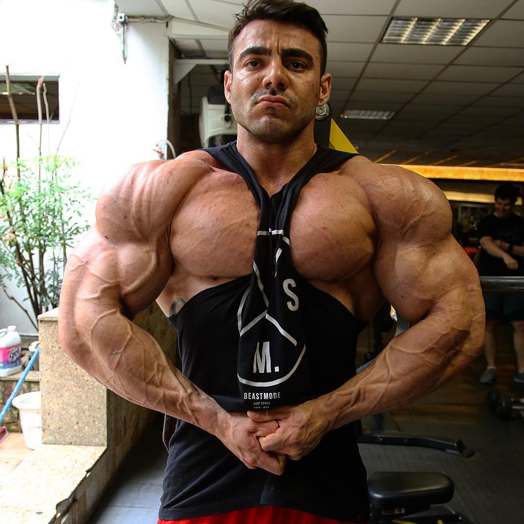 Muscle Lover: Brazilian bodybuilding super star - IFBB Pro Rafael Brandao
