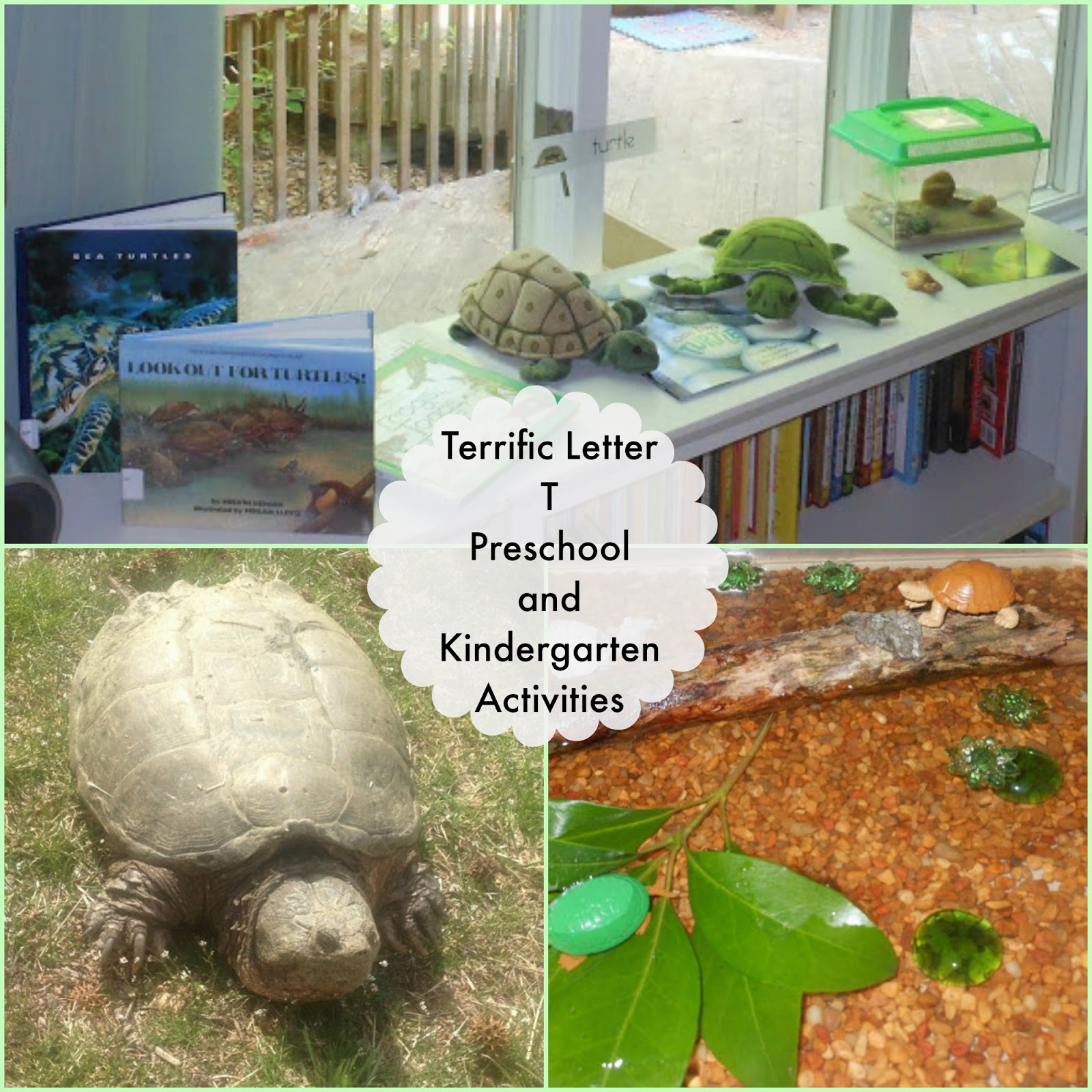 Letter T Found In Nature