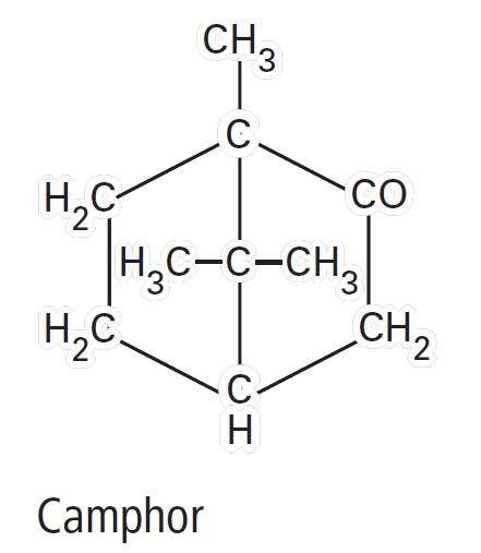 Chemistry 4 Students: Camphor