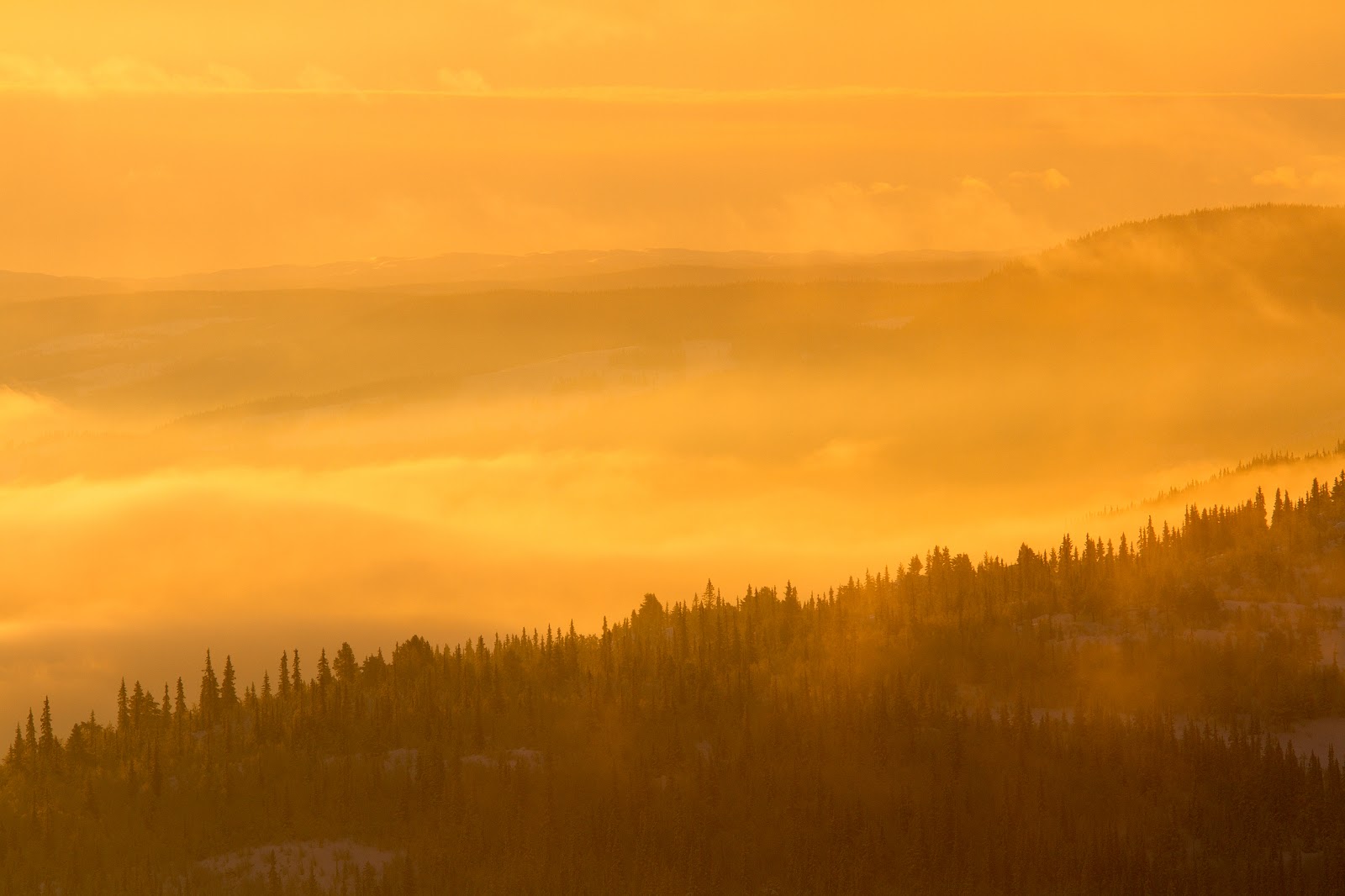 A warm winter sunrise | NaustvikPhotography I Blog