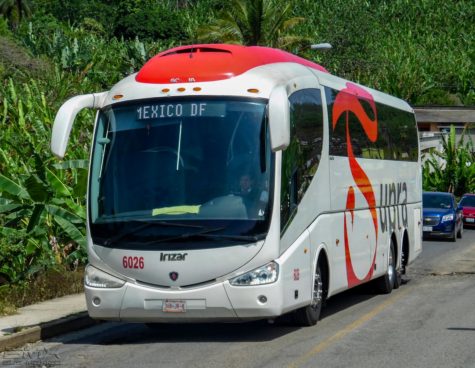 Autobuses Rápidos del Altiplano: Supra - Bus-México