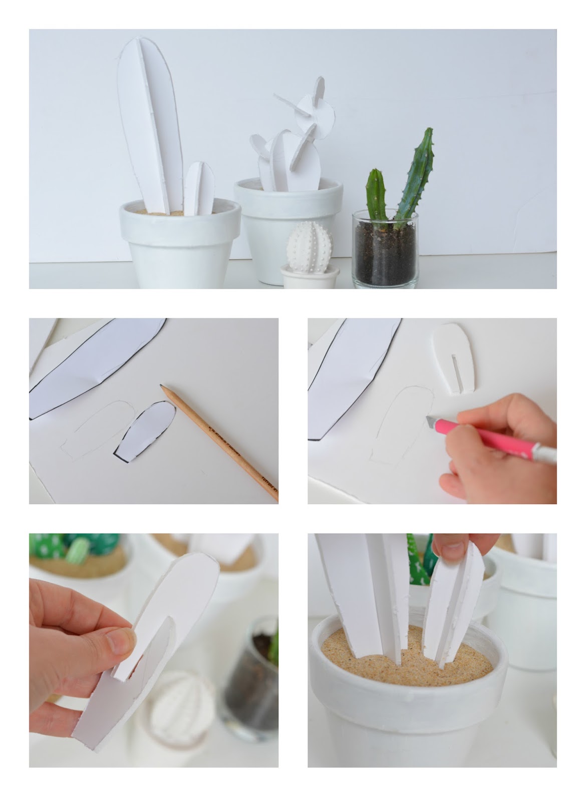DIY Cactus en carton / Autour de Cia