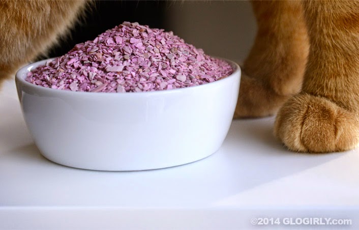 GLOGIRLY: Tickled PINK: Simple Solution 30 Day Cat Litter Giveaway for ...