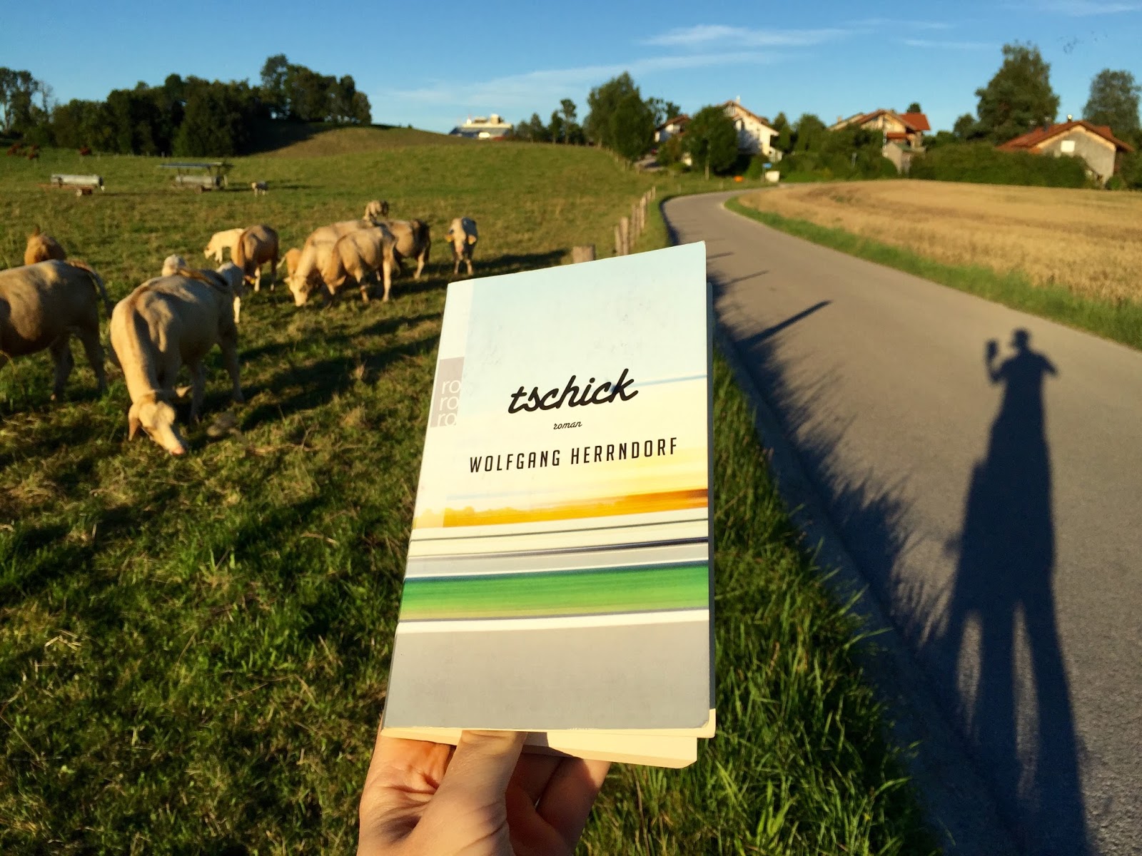 Lesenszeichen: Tschick - Auf der Suche nach dem Zauber der Literatur