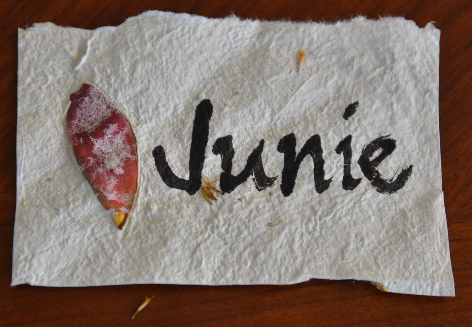 A school of fish: Handmade Japanese Washi Paper