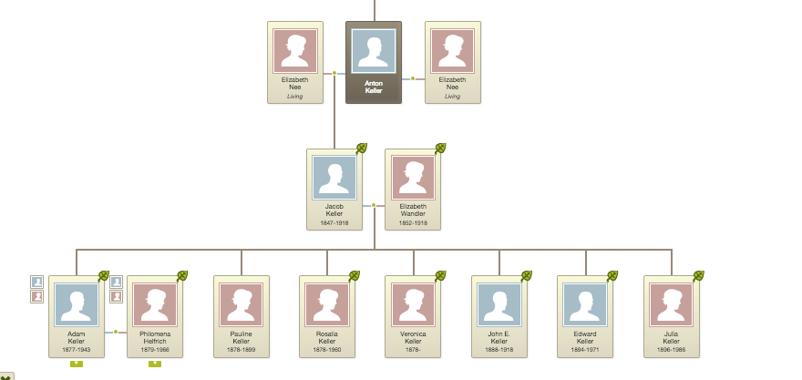 The Keller Family History: 2015