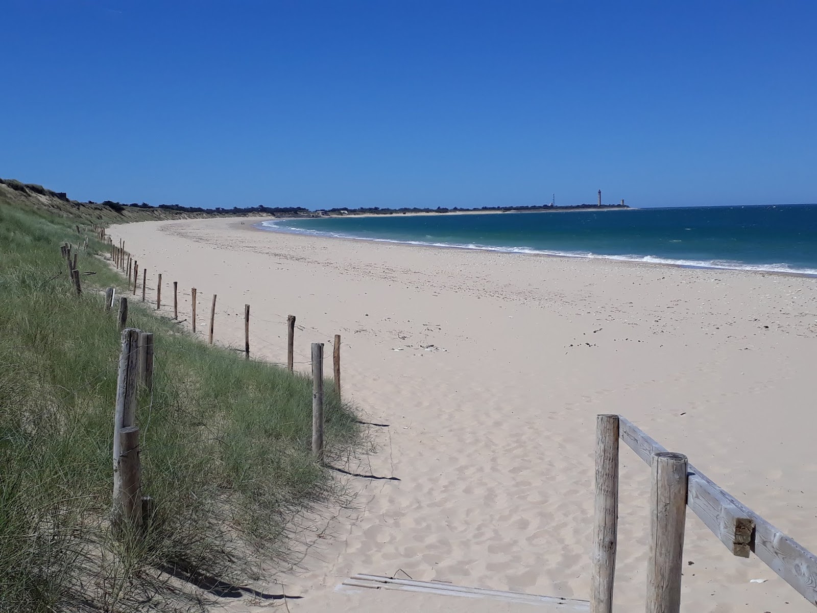 Avocette of Portsmouth: Ile de Re