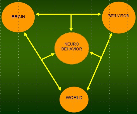 PUBLIC HEALTH: NEUROBEHAVIORAL DISORDERS
