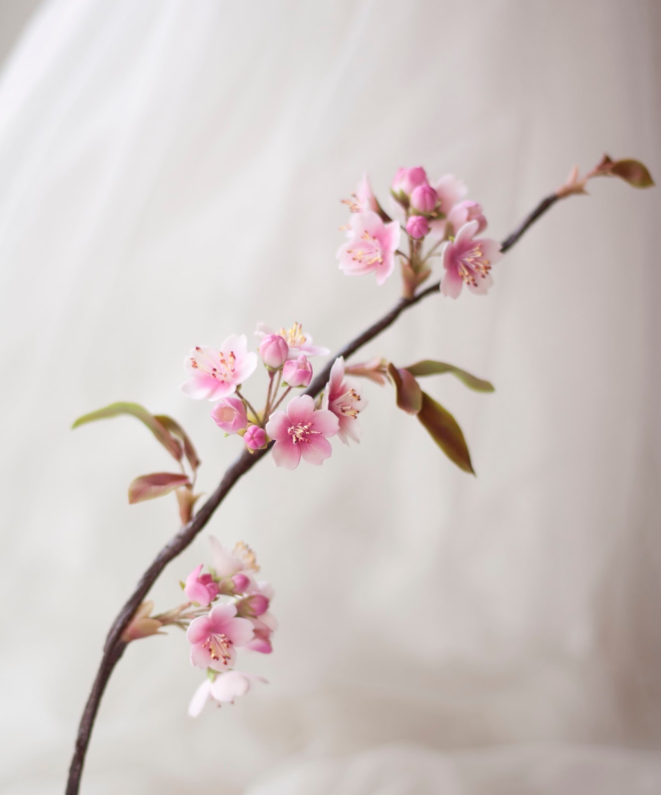 Lagoa Design Studio: Back to Polymer Clay: Sakura Branch