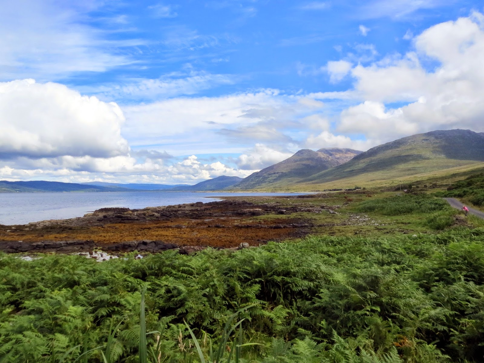 Travel.Happiness.Life. : Travelling Scotland: The Isle of Mull