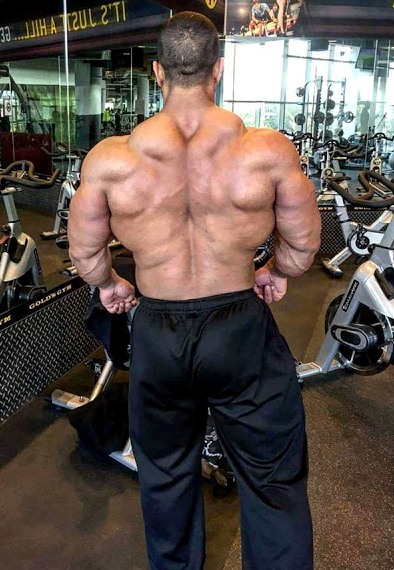 world bodybuilders pictures: masri gaint bodybuilder Hassan Mustafa ...
