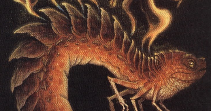 Planar Adventures for Dummies: Ecology of fire salamanders