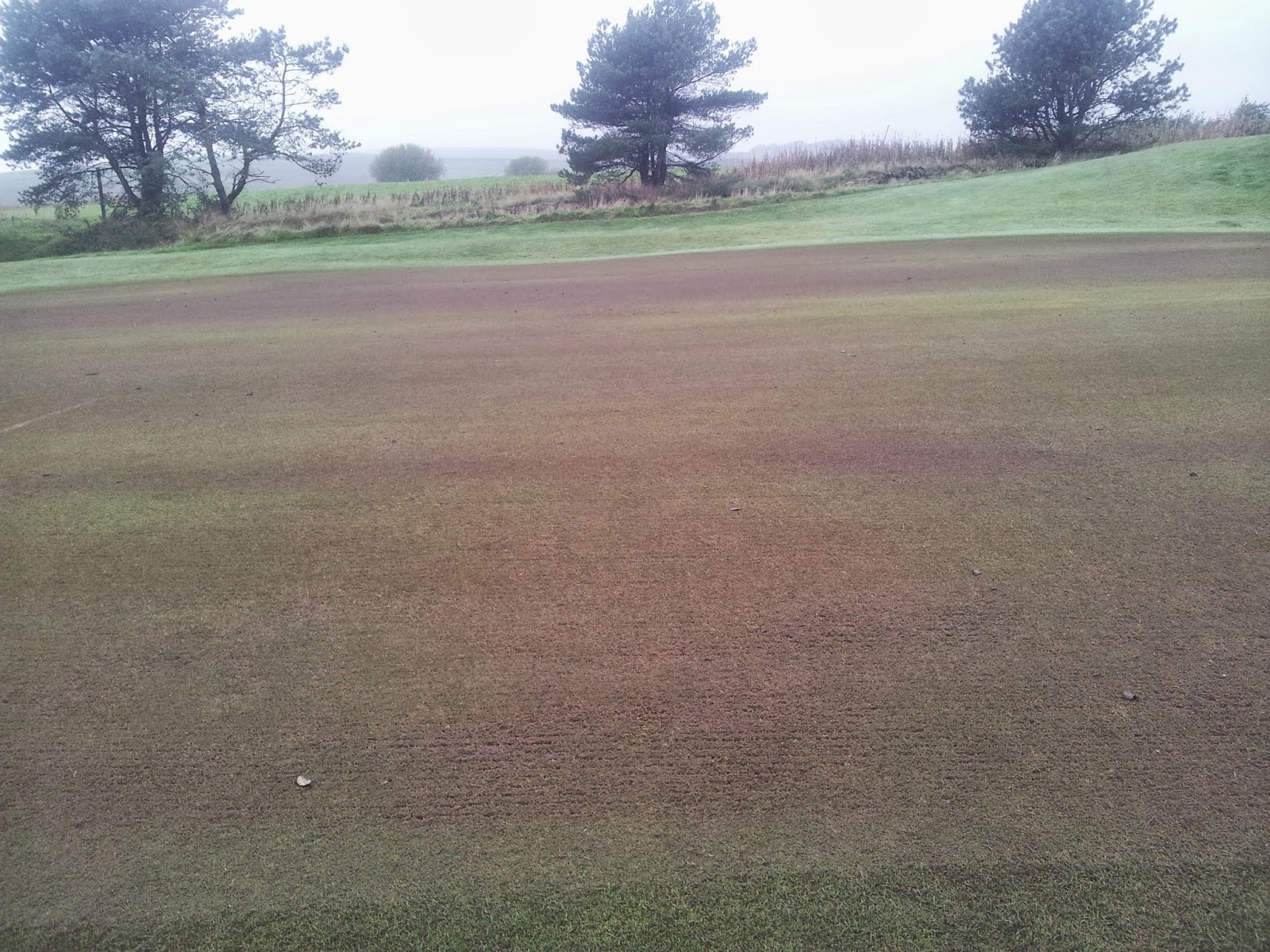 Bolton Old Links Golf Club: Scarifying Greens