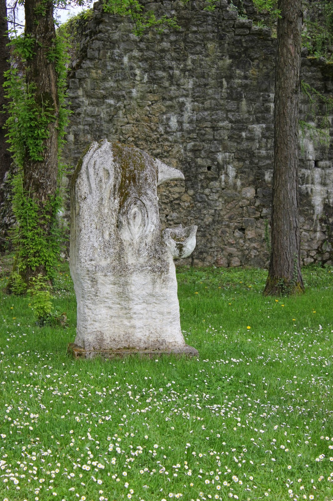 Kroz objektiv: Ostrožac