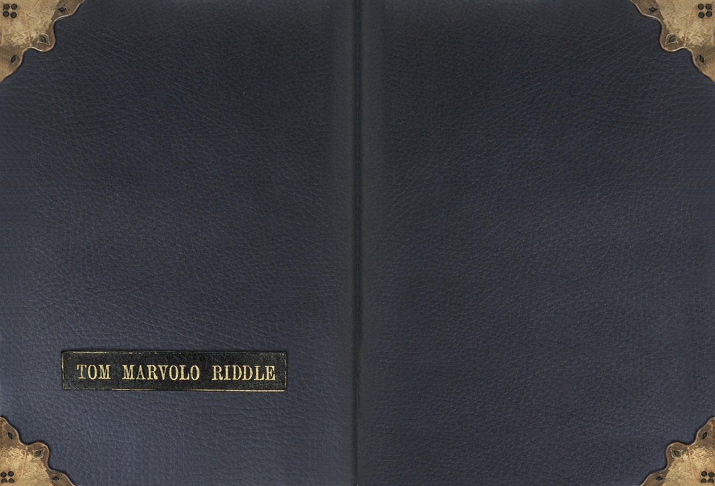 »O Diário de Tom Riddle | O Caldeirão Saltitante »The Hopping Pot