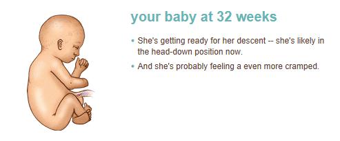 Bergill Baby: 32 Weeks