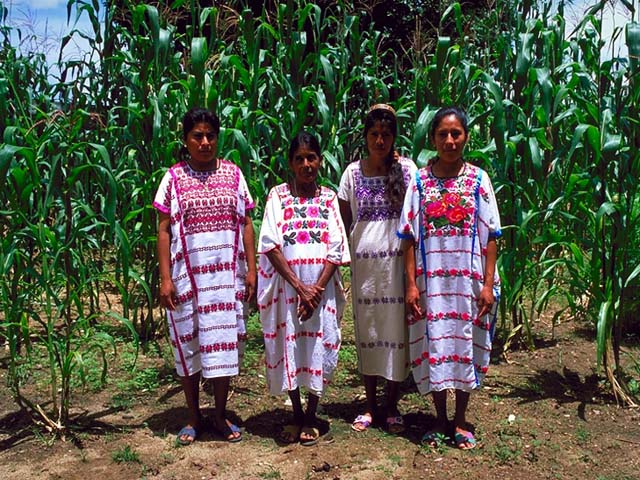 Proceso de Diseño Arquitectónico Instituto de Lenguas Nativas de Oaxaca ...