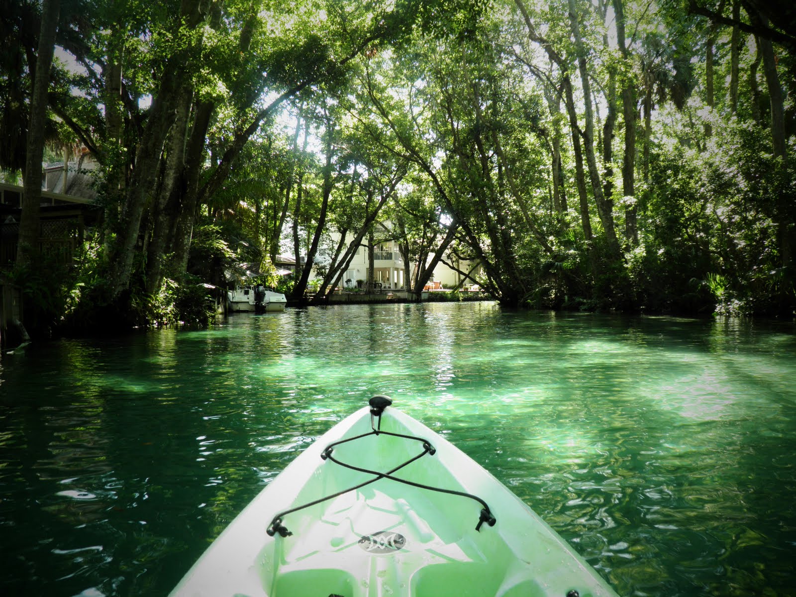Views From Our Kayak: Weeki Wachee River