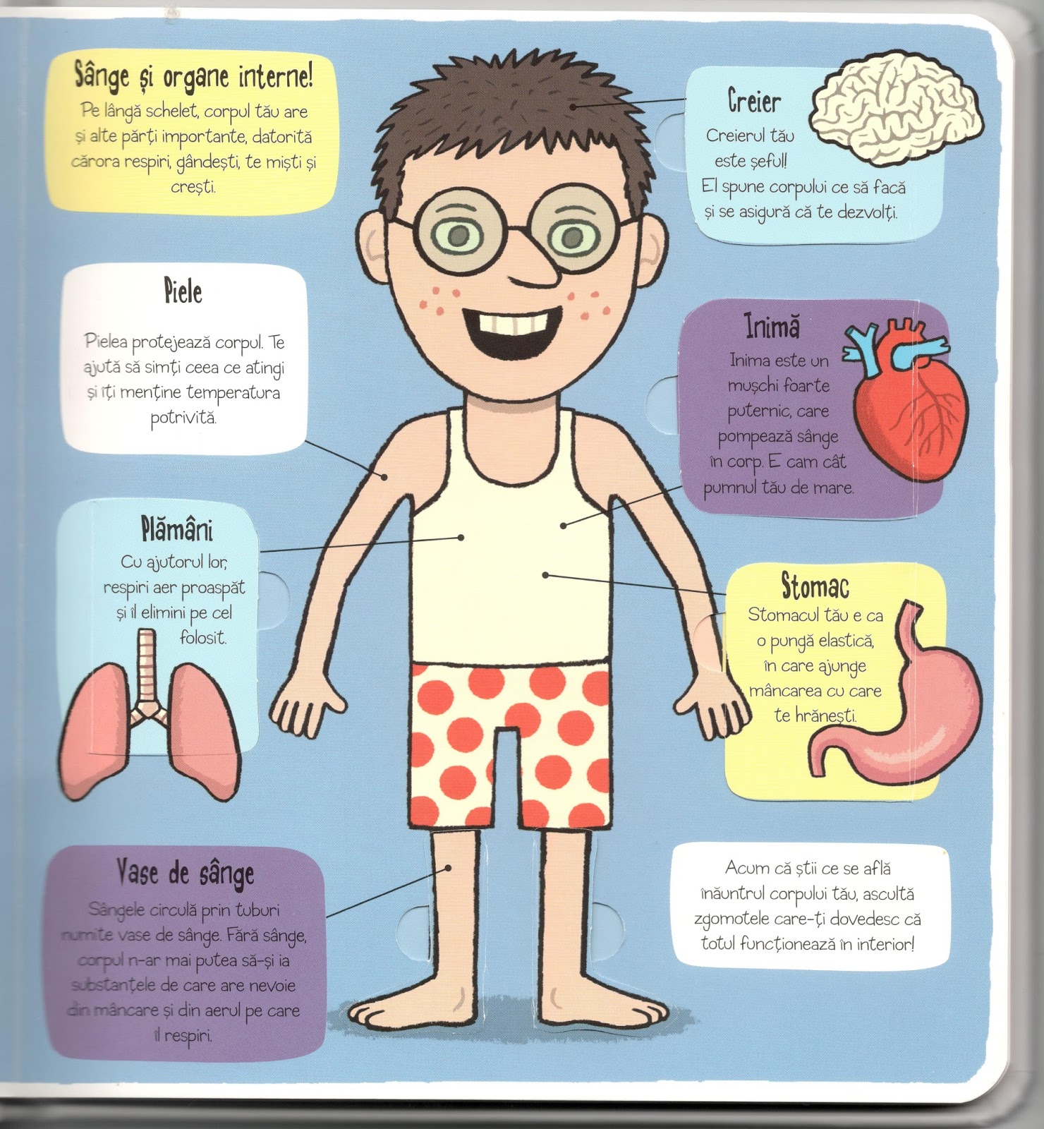 Vremea copilariei: Descoperim corpul uman