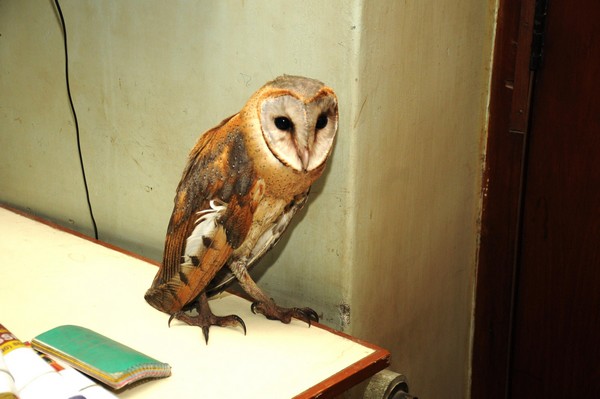 June 2016 ~ நிலாவரை.நெற்.இந்தியச்செய்தி