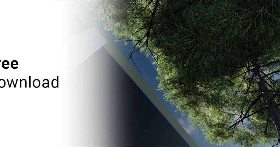 Blender Tree Douglas Fir Free Download