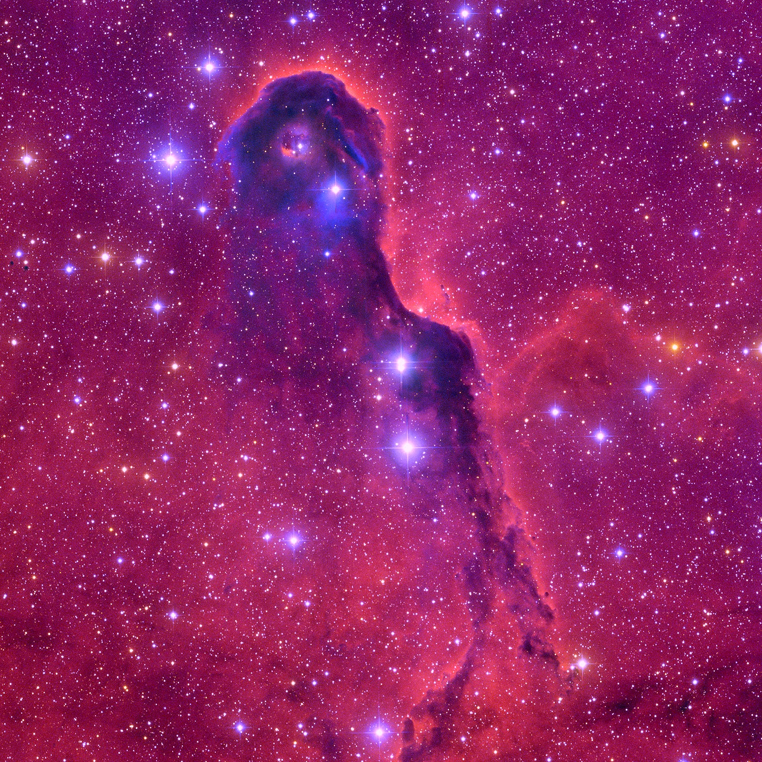 Jean-Baptiste Faure: IC1396 - The Elephant Trunk Nebula