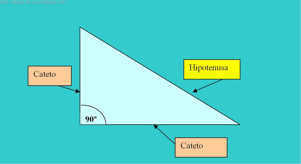 Como Hallar en un cateto en un triangulo - Mis tareas