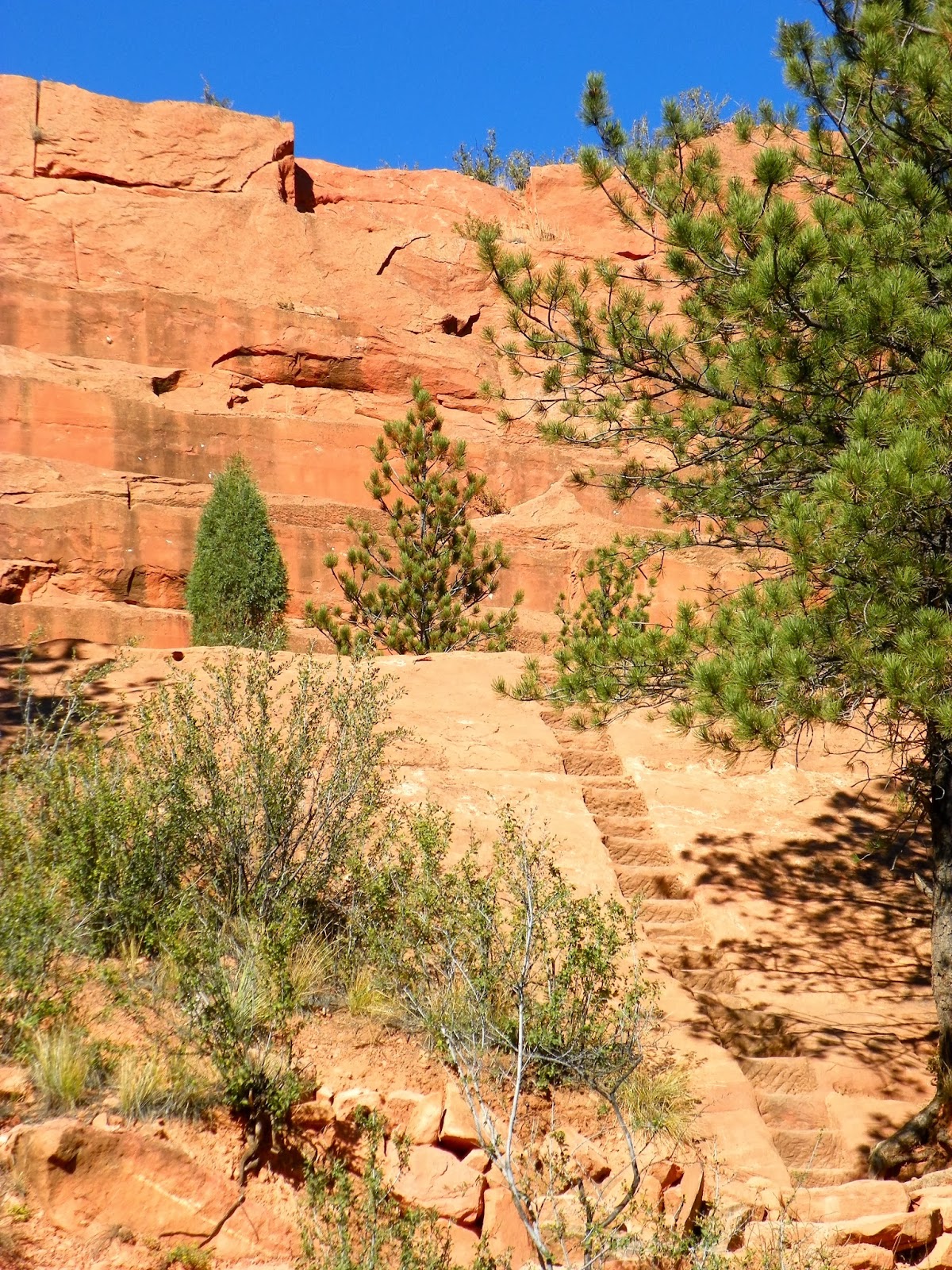 Otowi: Red Rock Open Space 10/26/13