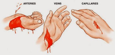 Procedimiento De Atención Para Posibles Accidentes Identificados En La ...