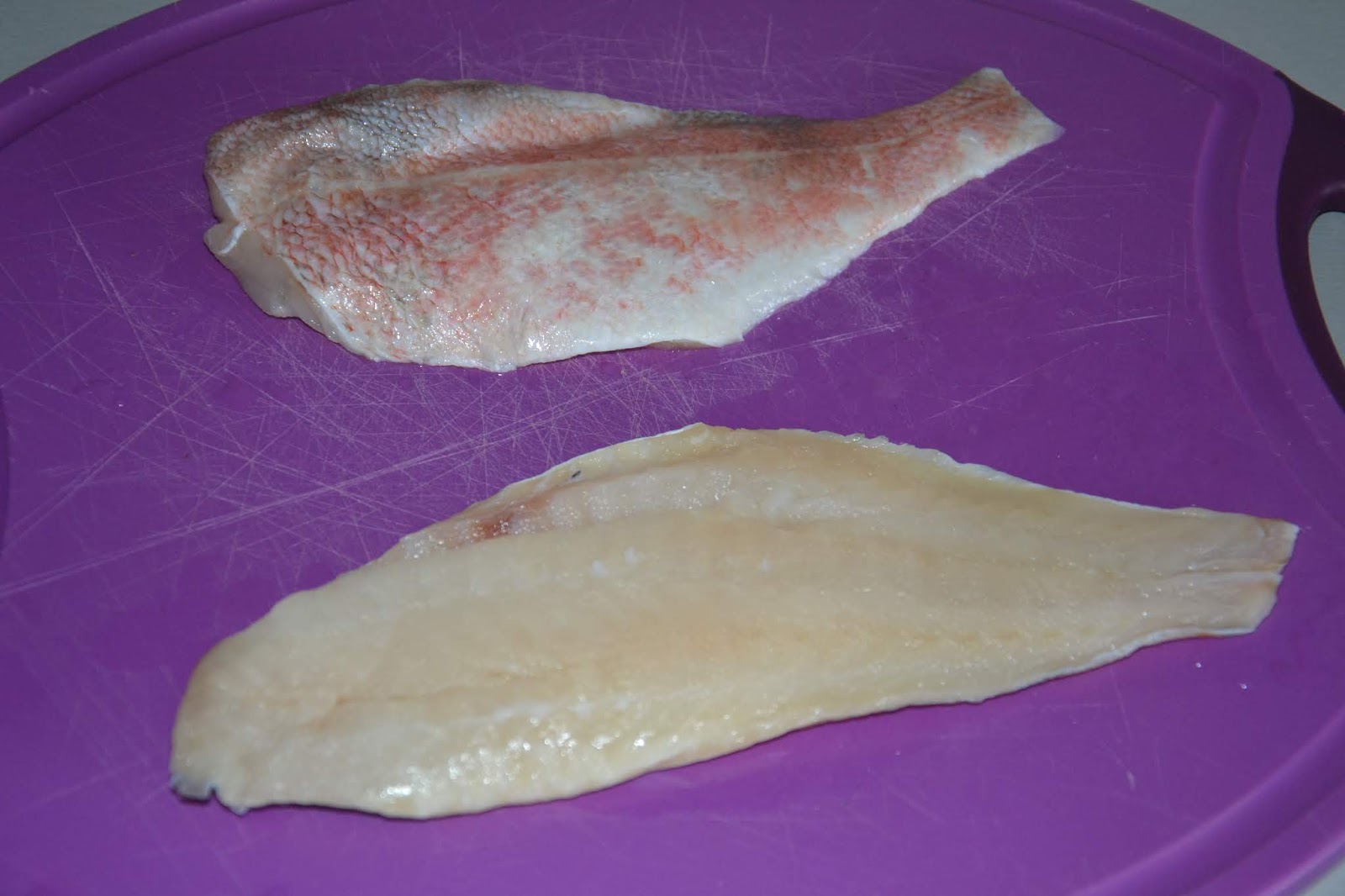 Oppdag Fisk!: Snabeluer/Deepwater Redfish/Beaked Redfish/Sebastes ...