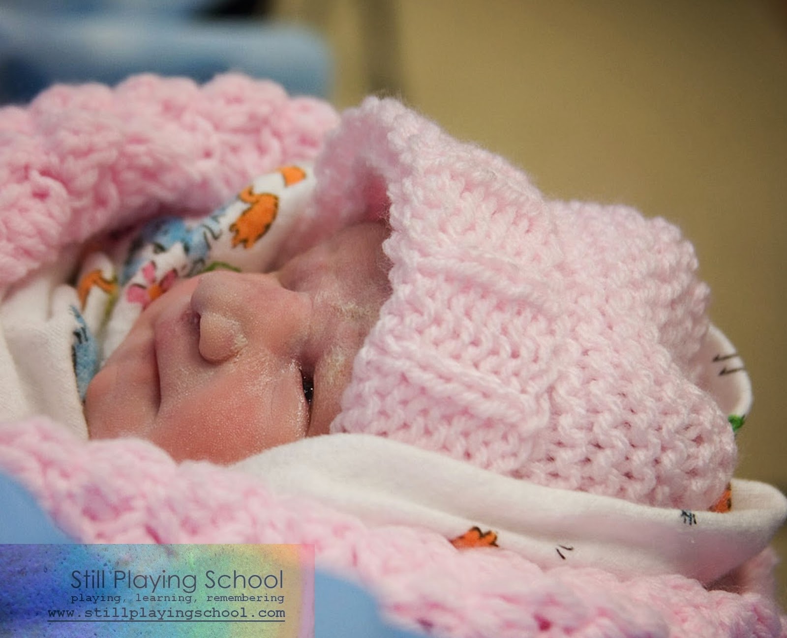 Violet Marie: 13 Stories of Trisomy 13 | Still Playing School