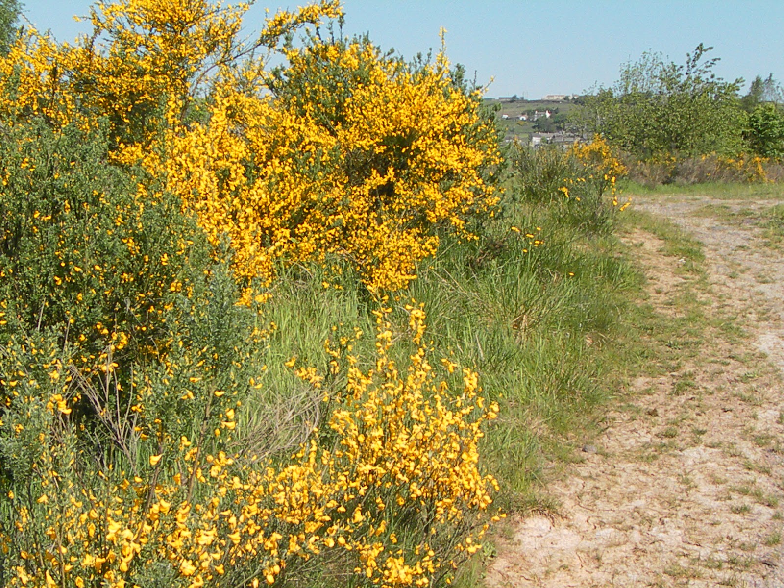 Oats Royd Nature Reserve – Halifax Scientific Society