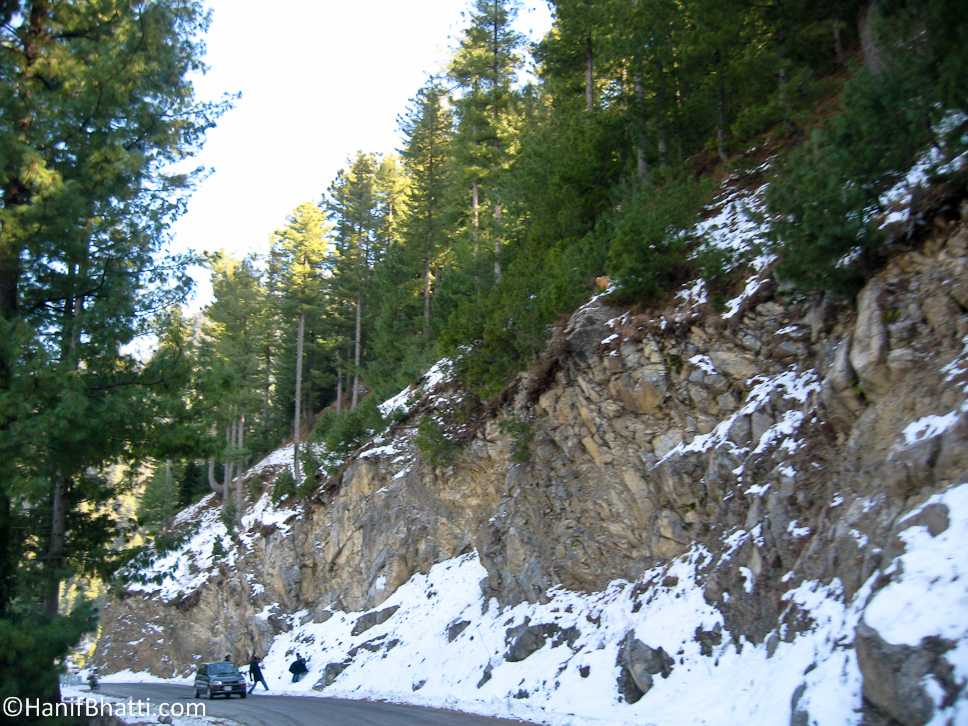 Pakistan Visiting Plases: Galyat Pakistan