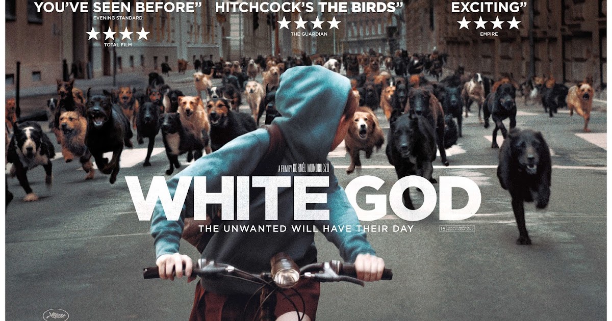 Em "White God" o cão é o espelho da crueldade humana ~ Cinema Secreto ...