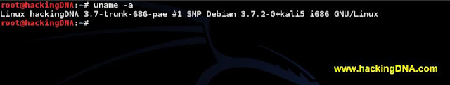 HackingDNA: Shell Scripting On Kali Linux