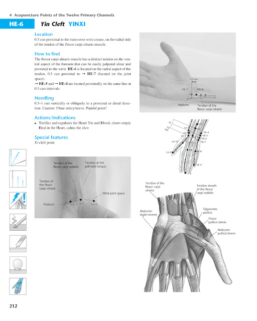Acupuncture Masters: Acupuncture Points Database - Heart Channel