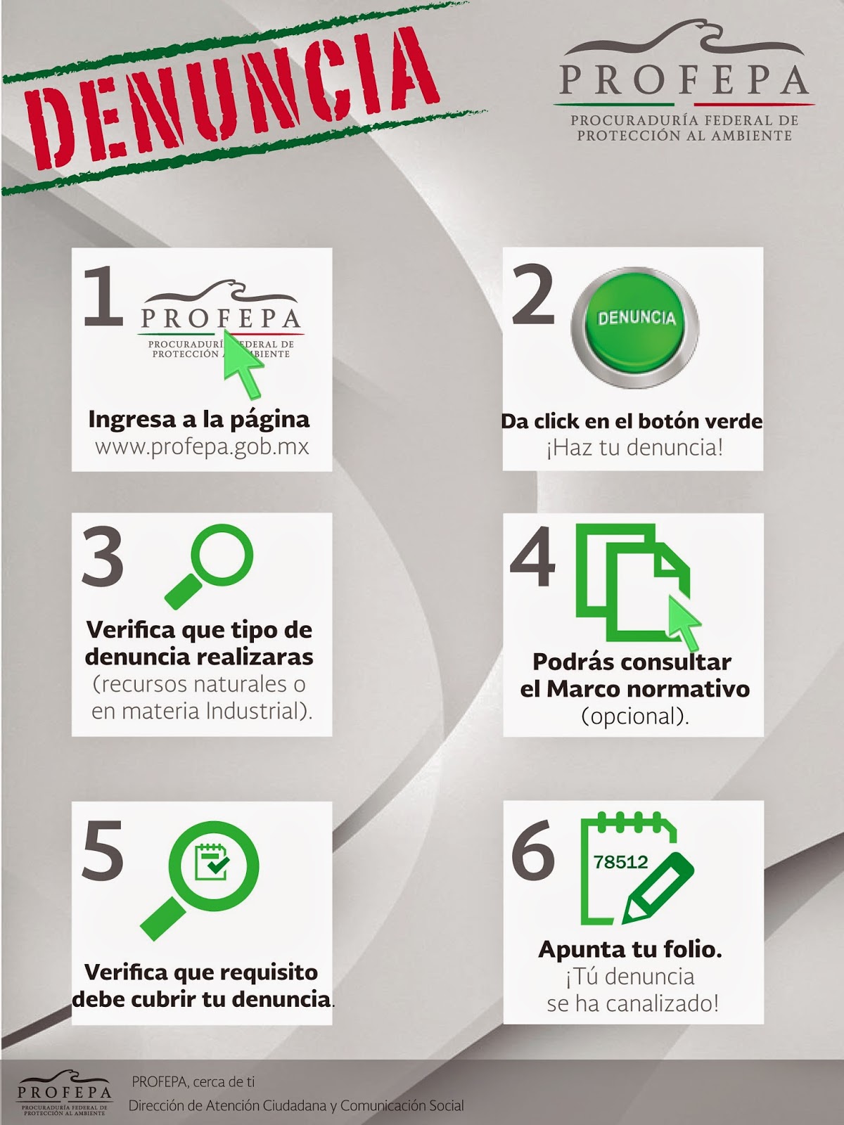CONOCE LOS SEIS SENCILLOS PARA DENUNCIAR ANTE PROFEPA f ~ PROFEPA
