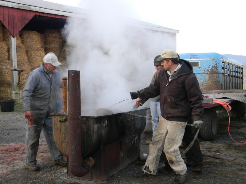 Home Joys: Hog Butchering 2012