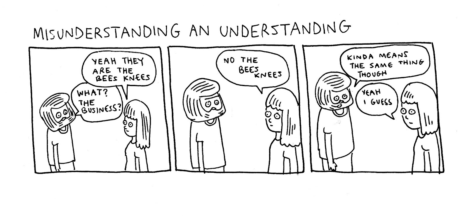 HILARIOUS CONSEQUENCES: MISUNDERSTANDING AN UNDERSTANDING