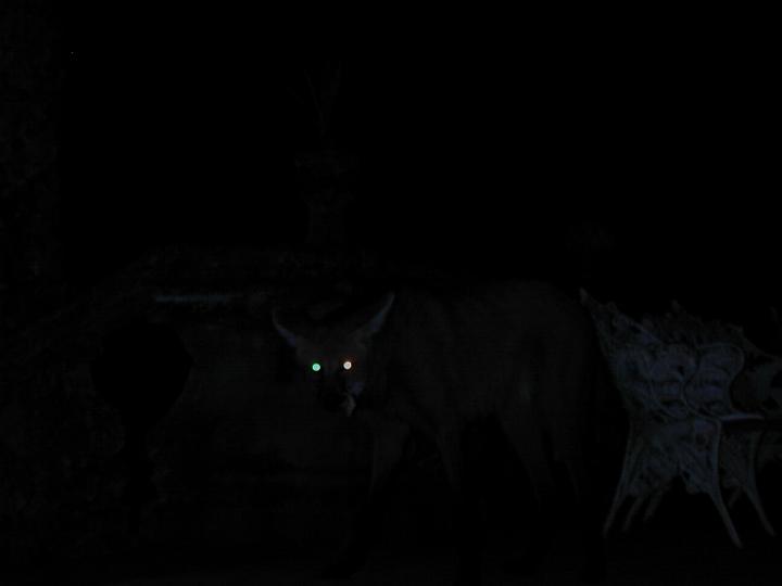 countless emotions: The shadow in the dark...